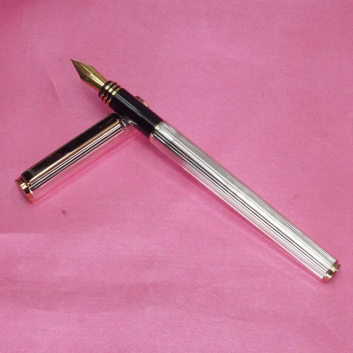 Pilot Dipper Silver stripped body and cap with GP Fine Nib Converter ...